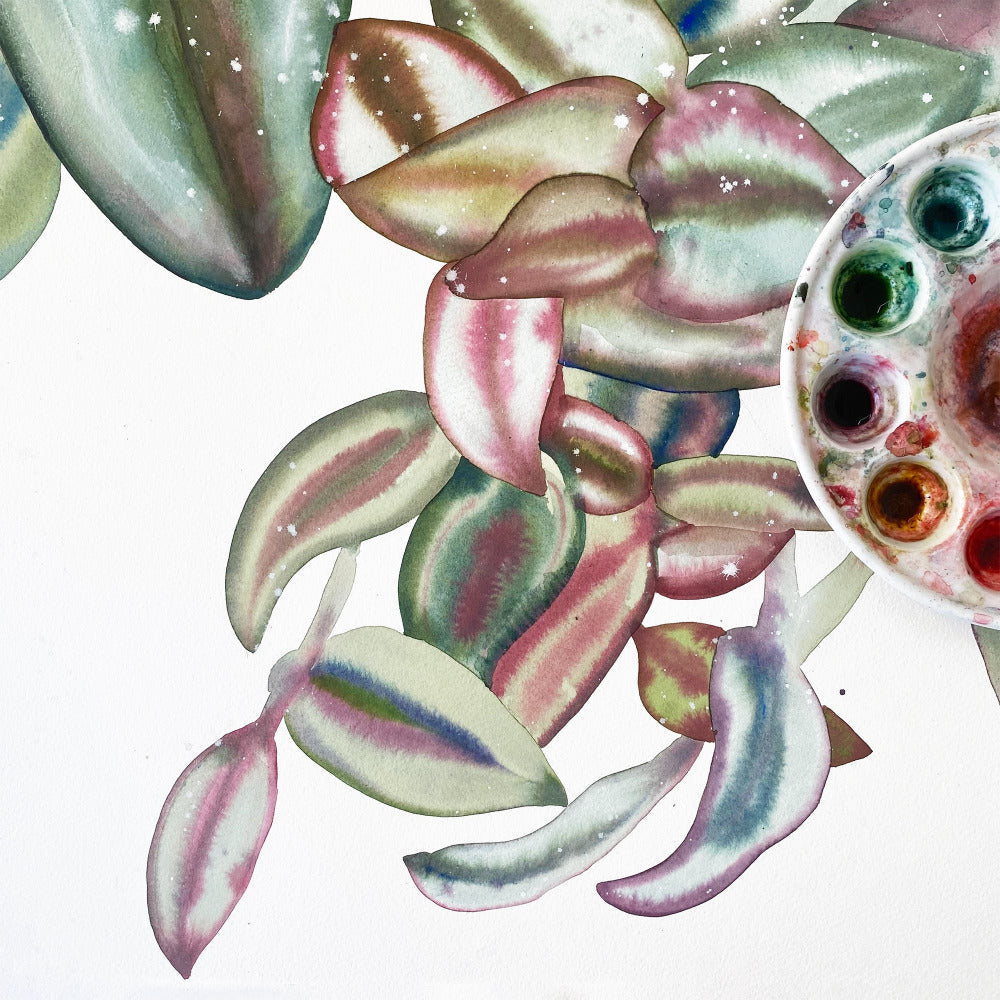 Tradescantia, Original Art | Ingrid Sanchez | CreativeIngrid | Ingrid ...