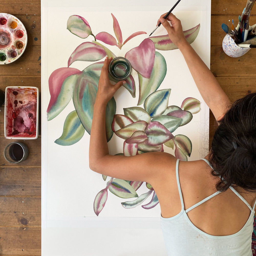 Tradescantia, Original Art | Ingrid Sanchez | CreativeIngrid | Ingrid ...